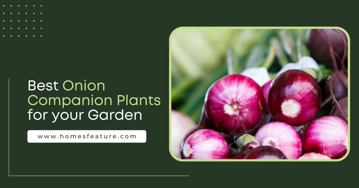 10 Best Onion Companion Plants To Grow Together