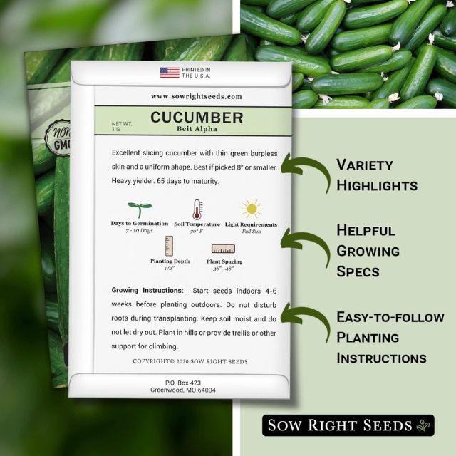Beit Alpha Cucumber Seeds for Planting | Sow Right Seeds
