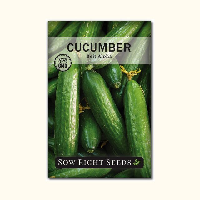 Beit Alpha Cucumber Seeds for Planting | Sow Right Seeds