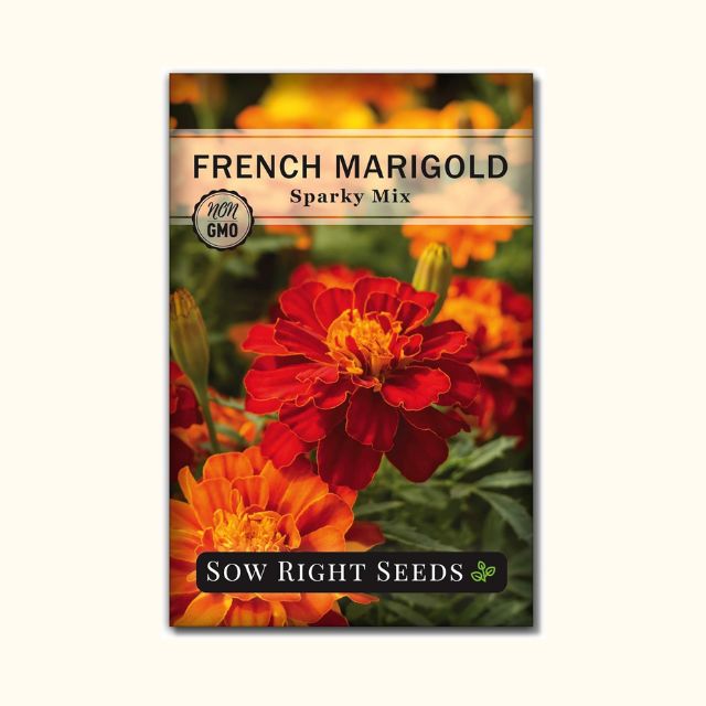 Sparky Marigold Seeds | Sow Right Seeds